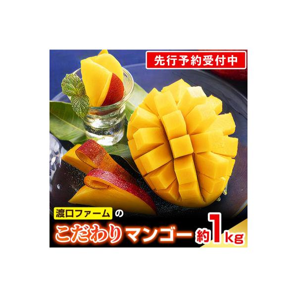 ■お礼品詳細　・配送種別：冷蔵便■お申し込み・配送・その他　・発送時期：2026-07-01〜2026-07-31（お届け時間帯指定可）　・申込受付期間：〜2026-07-15　・配達外のエリア：離島　・寄付証明書の送付時期目安：申込完了日...