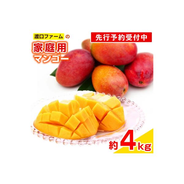 ■お礼品詳細　・配送種別：冷蔵便■お申し込み・配送・その他　・発送時期：2026-07-01〜2026-07-31（お届け時間帯指定可）　・申込受付期間：〜2026-07-15　・配達外のエリア：離島　・寄付証明書の送付時期目安：申込完了日...