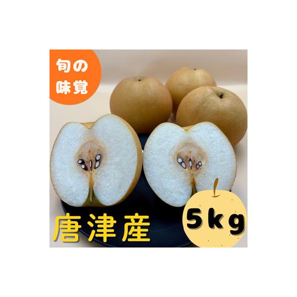 ■お礼品詳細　・配送種別：冷蔵便■お申し込み・配送・その他　・発送時期：2026-07-09〜2026-09-30（お届け時間帯指定可）　・申込受付期間：〜2026-07-31　・配達外のエリア：離島　・寄付証明書の送付時期目安：申込完了日...