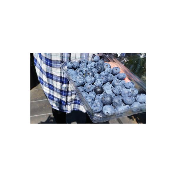 ■お礼品詳細　・配送種別：冷蔵便■お申し込み・配送・その他　・発送時期：2026/06/22〜2026/07/31（お届け時間帯指定可）　・申込受付期間：2025-09-15〜2026-05-31　・配達外のエリア：離島、沖縄県　・寄付証明...