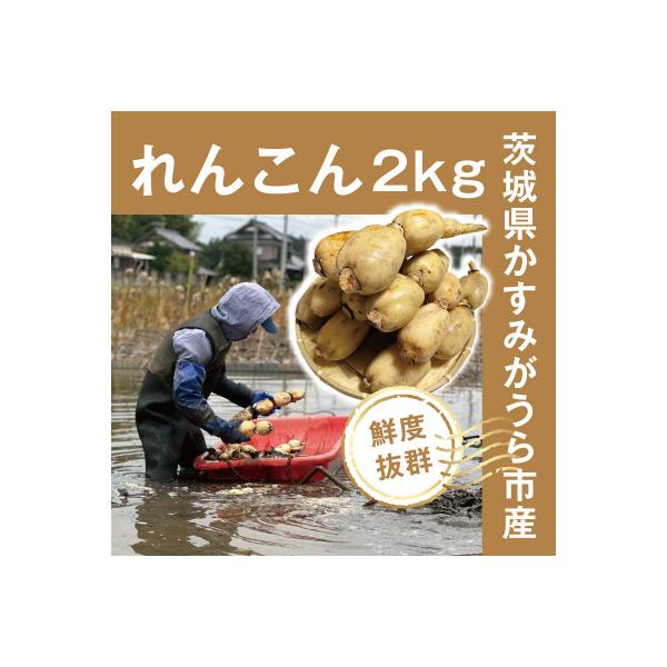 ■お礼品詳細　・配送種別：冷蔵便■お申し込み・配送・その他　・発送時期：〜2026/03/16（お届け時間帯指定可）　・申込受付期間：〜2026-03-05　・配達外のエリア：離島　・寄付証明書の送付時期目安：申込完了日から２週間程度　・提...