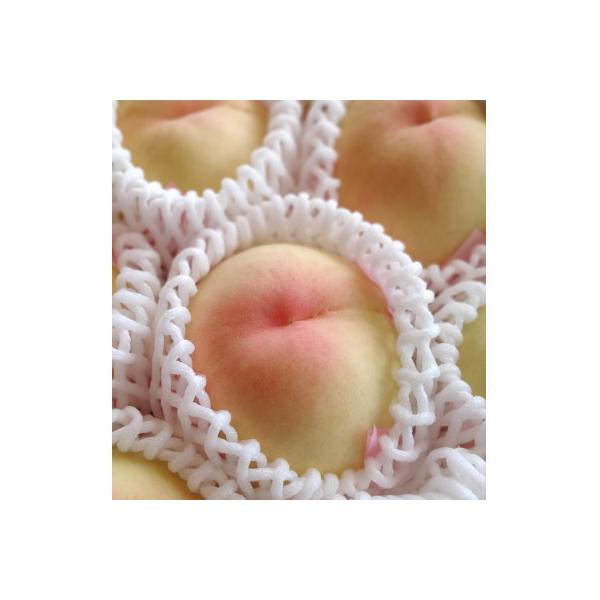 ■お礼品詳細　・配送種別：冷蔵便■お申し込み・配送・その他　・発送時期：2026-07-10〜2026-08-31（お届け時間帯指定可）　・申込受付期間：〜2026-06-30　・配達外のエリア：離島　・寄付証明書の送付時期目安：申込完了日...