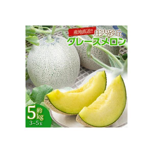 ■お礼品詳細　・配送種別：通常■お申し込み・配送・その他　・発送時期：2026/07/16（お届け時間帯指定可）　・申込受付期間：〜2026-06-27　・配達外のエリア：離島、沖縄県　・寄付証明書の送付時期目安：申込完了日から２ヵ月程度　...