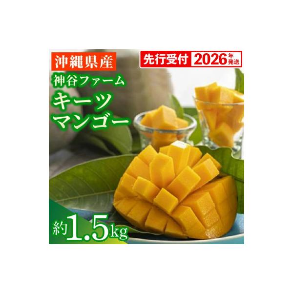 ■お礼品詳細　・配送種別：通常■お申し込み・配送・その他　・発送時期：2026-08-11〜2026-09-10（お届け時間帯指定可）　・申込受付期間：〜2026-08-17　・配達外のエリア：　・寄付証明書の送付時期目安：申込完了日から２...