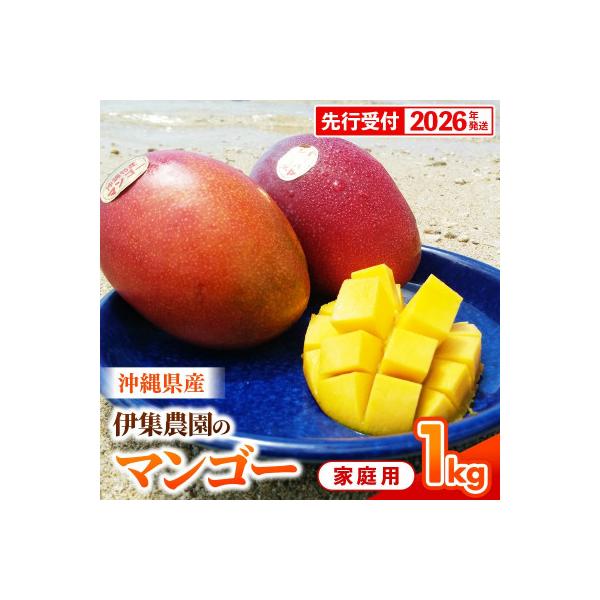 ■お礼品詳細　・配送種別：冷蔵便■お申し込み・配送・その他　・発送時期：2026-06-11〜2026-07-31（お届け時間帯指定可）　・申込受付期間：〜2026-07-15　・配達外のエリア：離島　・寄付証明書の送付時期目安：申込完了日...