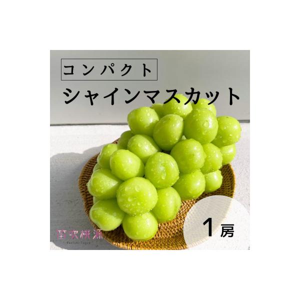 ■お礼品詳細　・配送種別：通常■お申し込み・配送・その他　・発送時期：2026-08-25〜2026-10-20（お届け時間帯指定可）　・申込受付期間：〜2026-09-21　・配達外のエリア：離島、沖縄県　・寄付証明書の送付時期目安：申込...