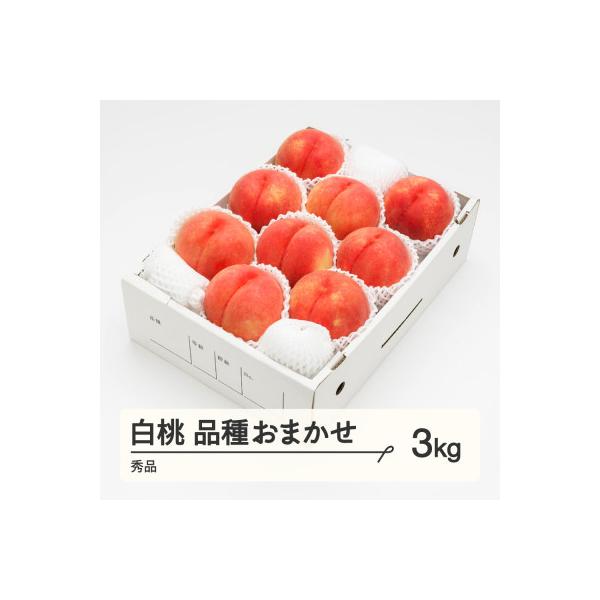 ■お礼品詳細　・配送種別：冷蔵便■お申し込み・配送・その他　・発送時期：2026/08/10〜2026/09/30（お届け時間帯指定可）　・申込受付期間：〜2026-07-31　・配達外のエリア：離島、沖縄県　・寄付証明書の送付時期目安：申...