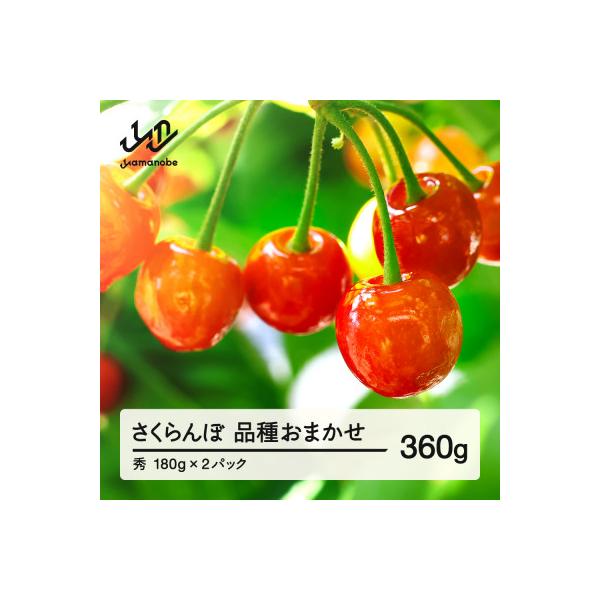 ■お礼品詳細　・配送種別：冷蔵便■お申し込み・配送・その他　・発送時期：2026/06/01〜2026/07/08（お届け時間帯指定可）　・申込受付期間：〜2026-05-31　・配達外のエリア：離島、北海道、沖縄県、信越、北陸、近畿、中国...