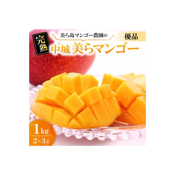 ■お礼品詳細　・配送種別：冷蔵便■お申し込み・配送・その他　・発送時期：2026-06-25〜2026-08-15（お届け時間帯指定可）　・申込受付期間：〜2026-07-31　・配達外のエリア：離島　・寄付証明書の送付時期目安：申込完了日...