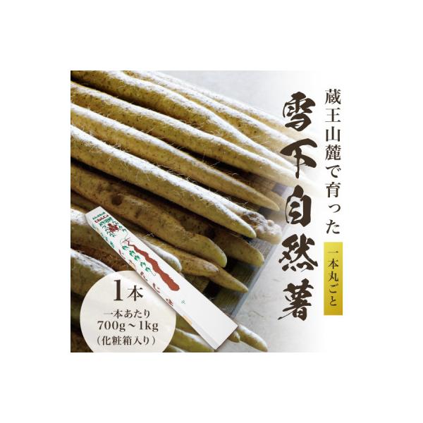 ■お礼品詳細　・配送種別：通常■お申し込み・配送・その他　・発送時期：2025-12-12〜2026-02-13　・申込受付期間：〜2026-01-31　・配達外のエリア：　・寄付証明書の送付時期目安：申込完了日から２週間程度　・提供元：株...