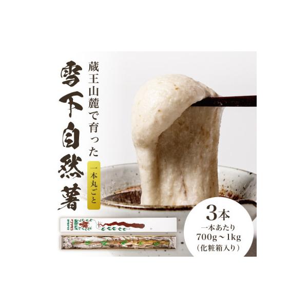 ■お礼品詳細　・配送種別：通常■お申し込み・配送・その他　・発送時期：2025-12-12〜2026-02-13　・申込受付期間：〜2026-01-31　・配達外のエリア：　・寄付証明書の送付時期目安：申込完了日から２週間程度　・提供元：株...