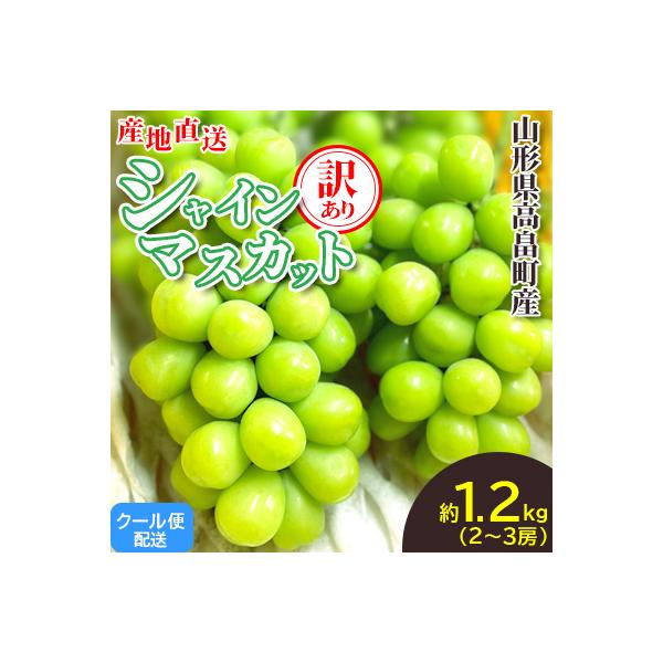 ■お礼品詳細　・配送種別：冷蔵便■お申し込み・配送・その他　・発送時期：2026/09/01〜2026/10/31（お届け時間帯指定可）　・申込受付期間：〜2026-08-31　・配達外のエリア：離島　・寄付証明書の送付時期目安：申込完了日...