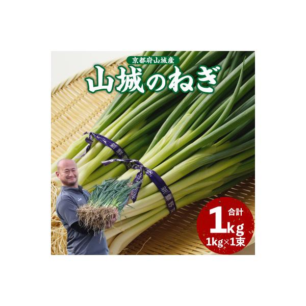 ■お礼品詳細　・配送種別：冷蔵便■お申し込み・配送・その他　・発送時期：お申込みから1週間程度で順次発送予定（お届け時間帯指定可）　・申込受付期間：通年　・配達外のエリア：離島　・寄付証明書の送付時期目安：申込完了日から２週間程度　・提供元...