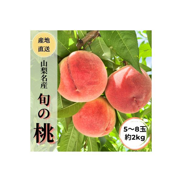 ■お礼品詳細　・配送種別：冷蔵便■お申し込み・配送・その他　・発送時期：2026/06/25〜2026/08/15（お届け時間帯指定可）　・申込受付期間：〜2026-07-31　・配達外のエリア：離島　・寄付証明書の送付時期目安：申込完了日...