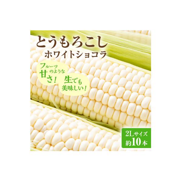 ■お礼品詳細　・配送種別：冷蔵便■お申し込み・配送・その他　・発送時期：2026-08-15〜2026-08-31（お届け時間帯指定可）　・申込受付期間：〜2026-08-30　・配達外のエリア：離島　・寄付証明書の送付時期目安：申込完了日...