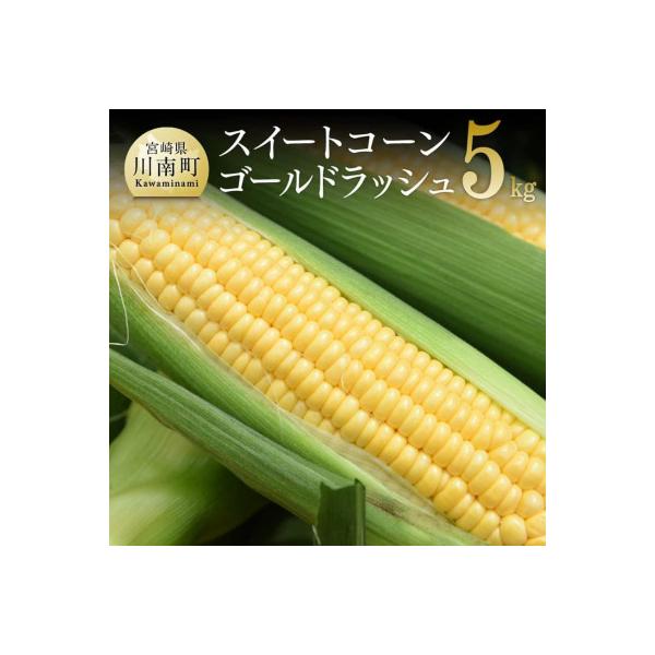 ■お礼品詳細　・配送種別：冷蔵便■お申し込み・配送・その他　・発送時期：2026-05-25〜2026-07-10（お届け時間帯指定可）　・申込受付期間：〜2026-07-04　・配達外のエリア：離島、沖縄県　・寄付証明書の送付時期目安：申...