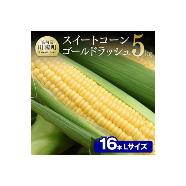 ■お礼品詳細　・配送種別：冷蔵便■お申し込み・配送・その他　・発送時期：2026-05-25〜2026-07-10（お届け時間帯指定可）　・申込受付期間：〜2026-07-04　・配達外のエリア：離島、沖縄県　・寄付証明書の送付時期目安：申...