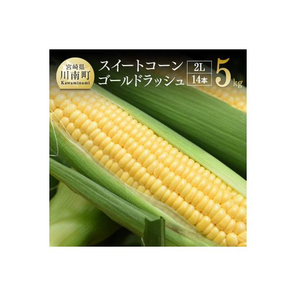 ■お礼品詳細　・配送種別：冷蔵便■お申し込み・配送・その他　・発送時期：2026-05-25〜2026-07-10（お届け時間帯指定可）　・申込受付期間：〜2026-07-04　・配達外のエリア：離島、沖縄県　・寄付証明書の送付時期目安：申...