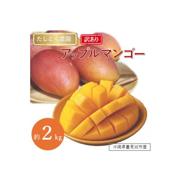 ■お礼品詳細　・配送種別：冷蔵便■お申し込み・配送・その他　・発送時期：2026-07-01〜2026-08-15（お届け時間帯指定可）　・申込受付期間：〜2026-06-10　・配達外のエリア：離島　・寄付証明書の送付時期目安：申込完了日...