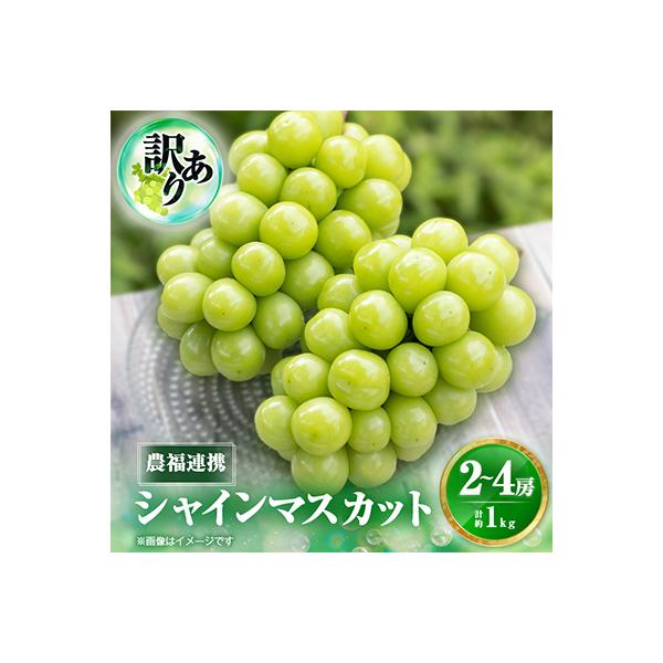■お礼品詳細　・配送種別：冷蔵便■お申し込み・配送・その他　・発送時期：2026-08-25〜2026-10-15（お届け時間帯指定可）　・申込受付期間：〜2026-09-30　・配達外のエリア：離島　・寄付証明書の送付時期目安：申込完了日...