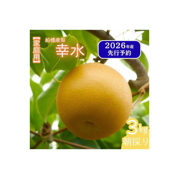 ■お礼品詳細　・配送種別：通常■お申し込み・配送・その他　・発送時期：2026-08-09〜2026-08-31（お届け時間帯指定可）　・申込受付期間：〜2026-08-05　・配達外のエリア：　・寄付証明書の送付時期目安：申込完了日から２...