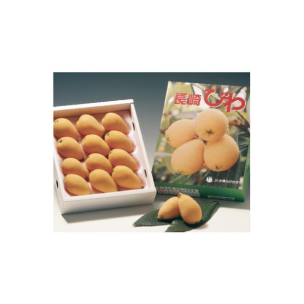 ■お礼品詳細　・配送種別：通常■お申し込み・配送・その他　・発送時期：2026-04-01〜2026-04-30（お届け時間帯指定可）　・申込受付期間：〜2026-04-10　・配達外のエリア：離島、沖縄県　・寄付証明書の送付時期目安：申込...