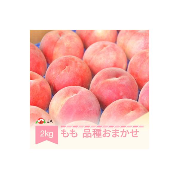 ■お礼品詳細　・配送種別：冷蔵便■お申し込み・配送・その他　・発送時期：2026/09/01〜2026/09/30（お届け時間帯指定可）　・申込受付期間：〜2026-08-10　・配達外のエリア：離島　・寄付証明書の送付時期目安：申込完了日...