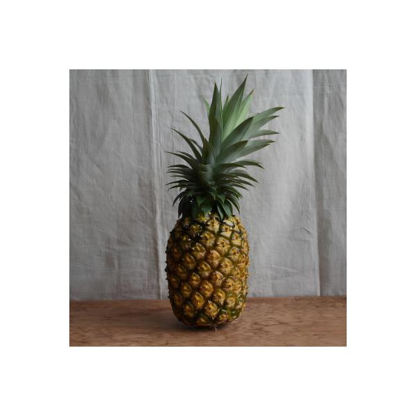 ■お礼品詳細　・配送種別：冷蔵便■お申し込み・配送・その他　・発送時期：2026-07-20〜2026-08-31（お届け時間帯指定可）　・申込受付期間：〜2026-08-15　・配達外のエリア：離島　・寄付証明書の送付時期目安：申込完了日...