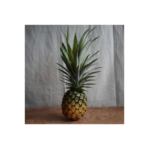 ■お礼品詳細　・配送種別：冷蔵便■お申し込み・配送・その他　・発送時期：2026-08-01〜2026-09-30（お届け時間帯指定可）　・申込受付期間：〜2026-08-31　・配達外のエリア：離島　・寄付証明書の送付時期目安：申込完了日...