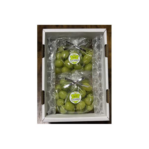 ■お礼品詳細　・配送種別：冷蔵便■お申し込み・配送・その他　・発送時期：2026-09-15〜2026-10-15（お届け時間帯指定可）　・申込受付期間：〜2026-09-30　・配達外のエリア：離島　・寄付証明書の送付時期目安：申込完了日...