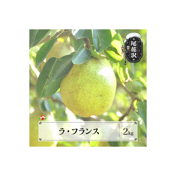 ■お礼品詳細　・配送種別：通常■お申し込み・配送・その他　・発送時期：2026/10/29〜2026/11/20（お届け時間帯指定可）　・申込受付期間：〜2026-10-10　・配達外のエリア：離島、沖縄県　・寄付証明書の送付時期目安：申込...