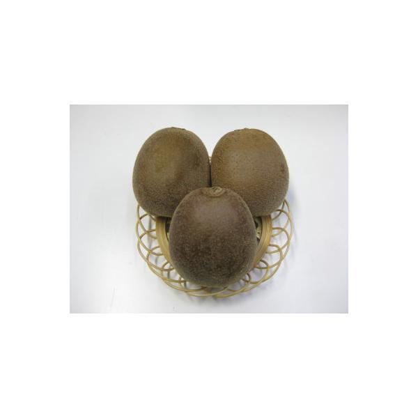 ■お礼品詳細　・配送種別：通常■お申し込み・配送・その他　・発送時期：2025-11-13〜2026-01-31　・申込受付期間：〜2026-01-11　・配達外のエリア：離島　・寄付証明書の送付時期目安：申込完了日から3週間程度　・提供元...