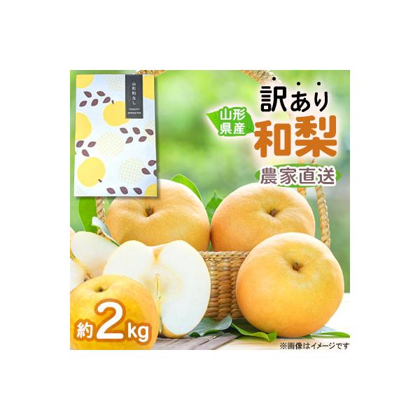 ■お礼品詳細　・配送種別：冷蔵便■お申し込み・配送・その他　・発送時期：2026-08-15〜2026-09-30（お届け時間帯指定可）　・申込受付期間：2025-11-07〜2026-09-10　・配達外のエリア：離島　・寄付証明書の送付...