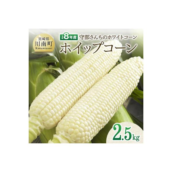 ■お礼品詳細　・配送種別：冷蔵便■お申し込み・配送・その他　・発送時期：2026-06-15〜2026-07-10（お届け時間帯指定可）　・申込受付期間：2025-11-15〜2026-07-05　・配達外のエリア：離島、沖縄県　・寄付証明...