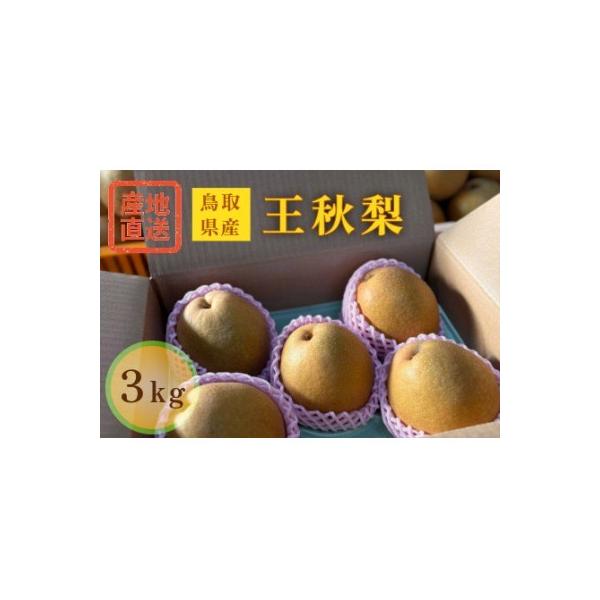 ■お礼品詳細　・配送種別：通常■お申し込み・配送・その他　・発送時期：2026-10-21〜2026-11-20（お届け時間帯指定可）　・申込受付期間：2025-11-21〜2026-10-20　・配達外のエリア：　・寄付証明書の送付時期目...