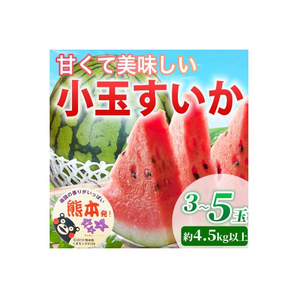 ■お礼品詳細　・配送種別：通常■お申し込み・配送・その他　・発送時期：2026-04-20〜2026-07-31（お届け時間帯指定可）　・申込受付期間：2025-11-17〜2026-07-20　・配達外のエリア：　・寄付証明書の送付時期目...