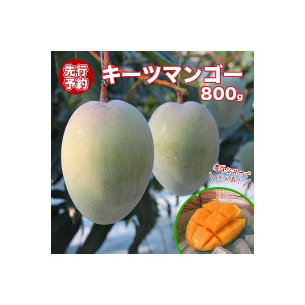 ■お礼品詳細　・配送種別：通常■お申し込み・配送・その他　・発送時期：2026-08-01〜2026-09-10（お届け時間帯指定可）　・申込受付期間：〜2026-05-31　・配達外のエリア：　・寄付証明書の送付時期目安：申込完了日から2...