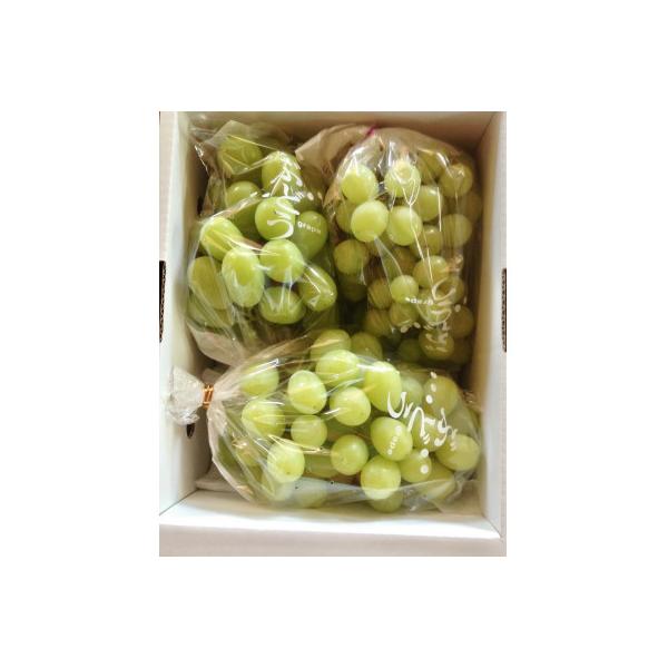 ■お礼品詳細　・配送種別：冷蔵便■お申し込み・配送・その他　・発送時期：2026/09/10〜2026/10/31（お届け時間帯指定可）　・申込受付期間：〜2026-10-15　・配達外のエリア：離島　・寄付証明書の送付時期目安：申込完了日...