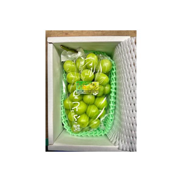 ■お礼品詳細　・配送種別：冷蔵便■お申し込み・配送・その他　・発送時期：2026/09/10〜2026/10/31（お届け時間帯指定可）　・申込受付期間：〜2026-10-15　・配達外のエリア：離島　・寄付証明書の送付時期目安：申込完了日...