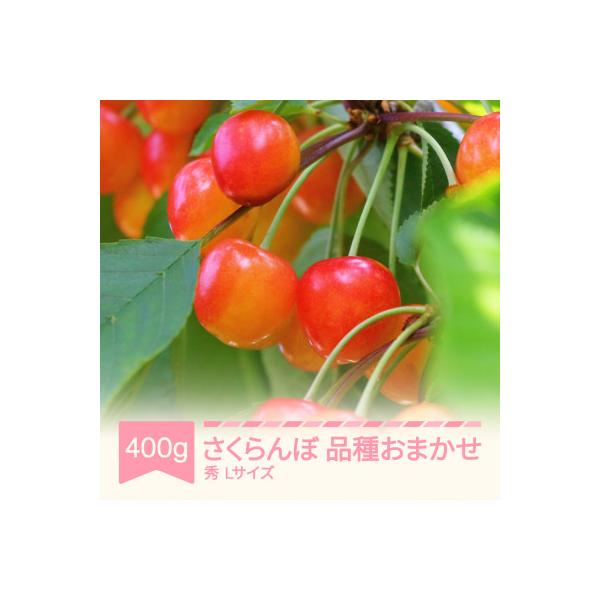 ■お礼品詳細　・配送種別：冷蔵便■お申し込み・配送・その他　・発送時期：2026-06-01〜2026-06-30（お届け時間帯指定可）　・申込受付期間：〜2026-05-27　・配達外のエリア：離島、沖縄県　・寄付証明書の送付時期目安：申...
