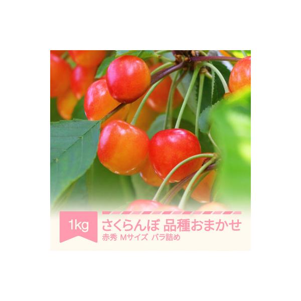 ■お礼品詳細　・配送種別：冷蔵便■お申し込み・配送・その他　・発送時期：2026-06-01〜2026-07-03（お届け時間帯指定可）　・申込受付期間：〜2026-05-22　・配達外のエリア：離島、沖縄県　・寄付証明書の送付時期目安：申...