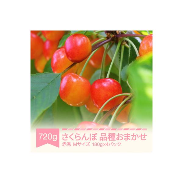 ■お礼品詳細　・配送種別：冷蔵便■お申し込み・配送・その他　・発送時期：2026-06-01〜2026-07-03（お届け時間帯指定可）　・申込受付期間：〜2026-05-22　・配達外のエリア：離島、沖縄県　・寄付証明書の送付時期目安：申...