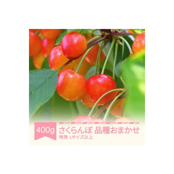 ■お礼品詳細　・配送種別：冷蔵便■お申し込み・配送・その他　・発送時期：2026-06-01〜2026-06-30（お届け時間帯指定可）　・申込受付期間：〜2026-05-22　・配達外のエリア：離島、沖縄県　・寄付証明書の送付時期目安：申...