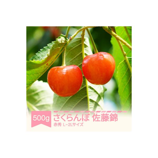 ■お礼品詳細　・配送種別：冷蔵便■お申し込み・配送・その他　・発送時期：2026-06-01〜2026-06-30（お届け時間帯指定可）　・申込受付期間：〜2026-05-22　・配達外のエリア：離島、沖縄県　・寄付証明書の送付時期目安：申...