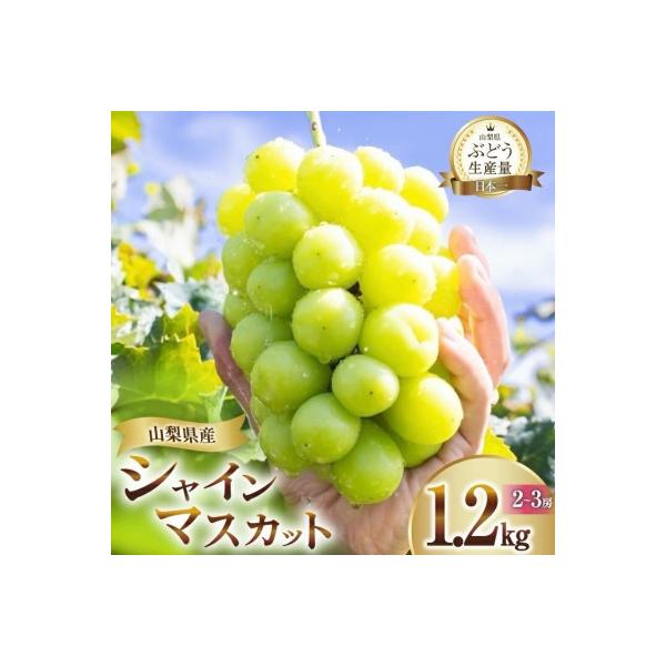 ■お礼品詳細　・配送種別：冷蔵便■お申し込み・配送・その他　・発送時期：2026/08/28〜2026/10/10（お届け時間帯指定可）　・申込受付期間：〜2026-09-25　・配達外のエリア：離島、沖縄県　・寄付証明書の送付時期目安：申...