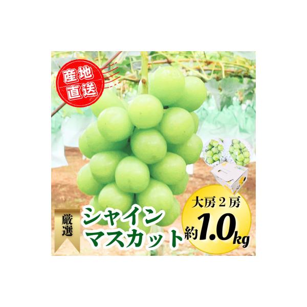 ■お礼品詳細　・配送種別：冷蔵便■お申し込み・配送・その他　・発送時期：2026-08-31〜2026-09-22（お届け時間帯指定可）　・申込受付期間：〜2026-09-15　・配達外のエリア：離島　・寄付証明書の送付時期目安：申込完了日...