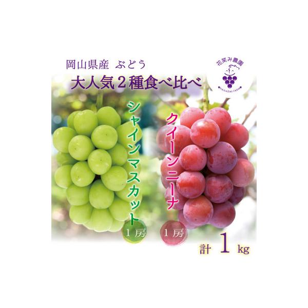 ■お礼品詳細　・配送種別：冷蔵便■お申し込み・配送・その他　・発送時期：2026-09-16〜2026-10-20（お届け時間帯指定可）　・申込受付期間：〜2026-10-15　・配達外のエリア：離島　・寄付証明書の送付時期目安：申込完了日...