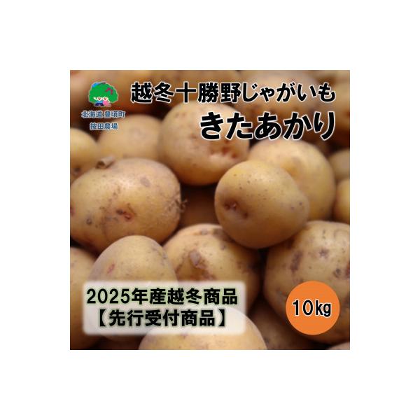 ■お礼品詳細　・配送種別：通常■お申し込み・配送・その他　・発送時期：2026/03/17〜2026/05/26　・申込受付期間：〜2026-03-10　・配達外のエリア：　・寄付証明書の送付時期目安：申込完了日から２週間程度　・提供元：一...