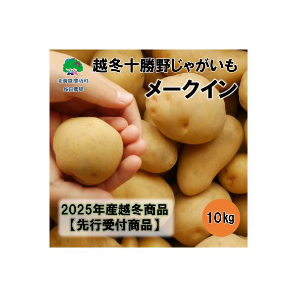 ■お礼品詳細　・配送種別：通常■お申し込み・配送・その他　・発送時期：2026/03/17〜2026/06/02　・申込受付期間：〜2026-05-26　・配達外のエリア：　・寄付証明書の送付時期目安：申込完了日から２週間程度　・提供元：一...