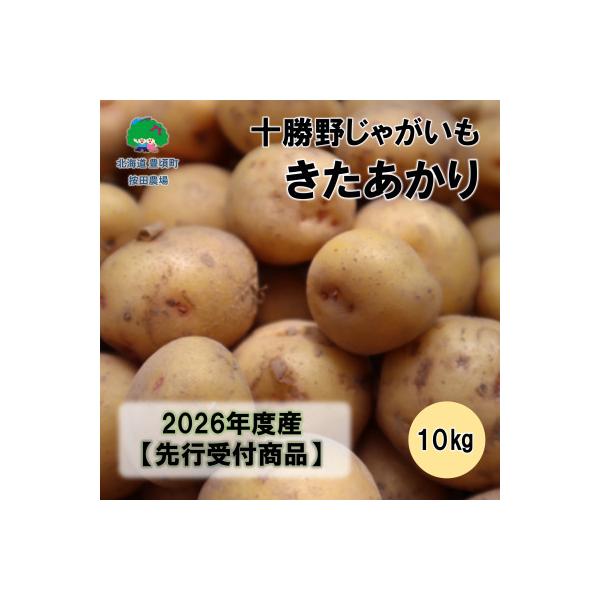 ■お礼品詳細　・配送種別：通常■お申し込み・配送・その他　・発送時期：2026/10/06〜2026/12/29　・申込受付期間：〜2026-05-31　・配達外のエリア：　・寄付証明書の送付時期目安：申込完了日から２週間程度　・提供元：一...